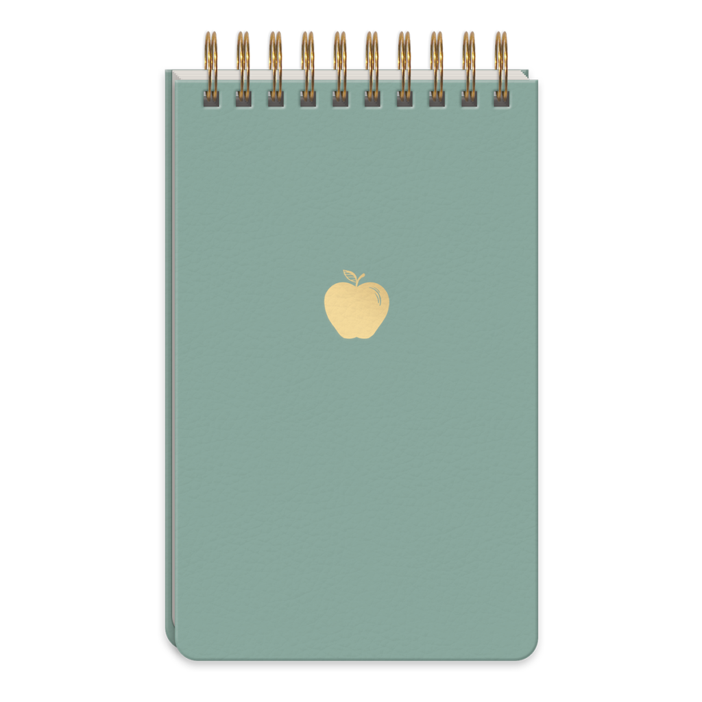 Teacher Icons Apple Spiral Notepad - Lady Jayne